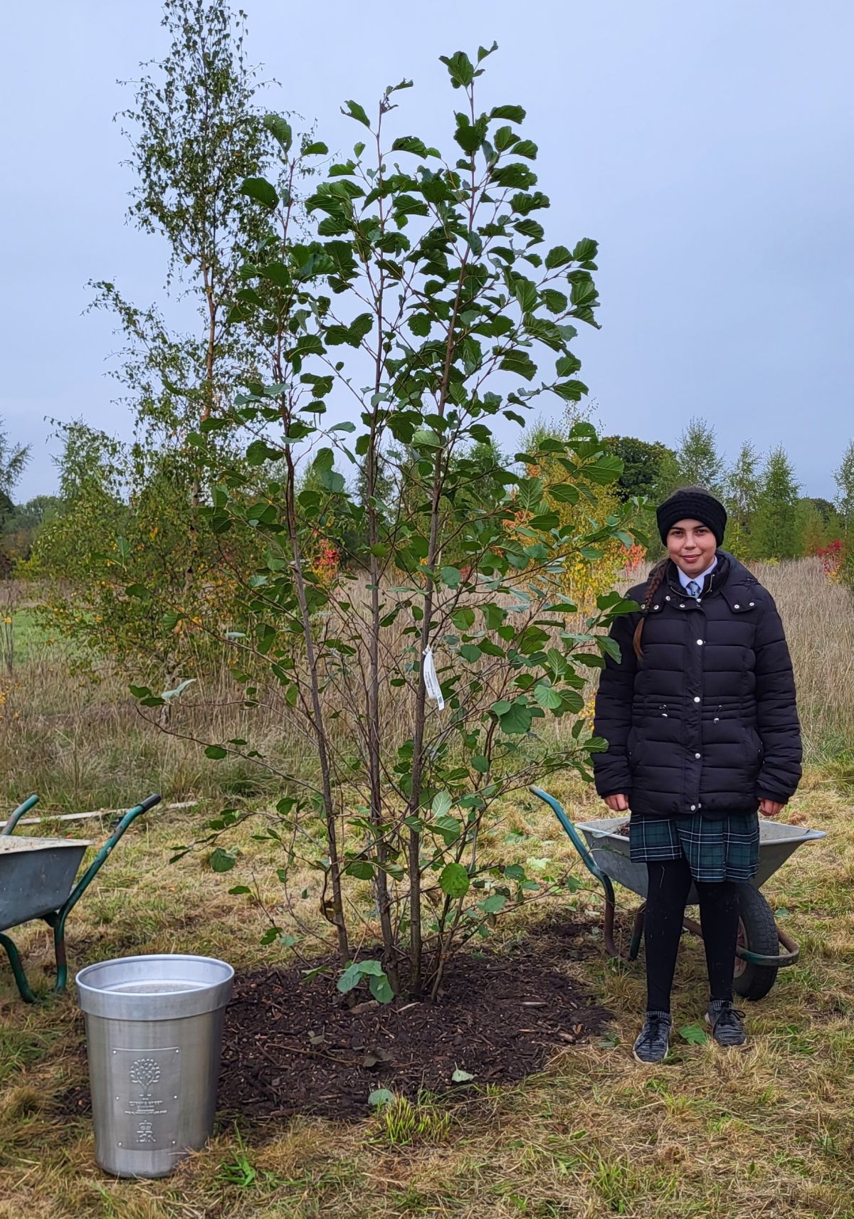 Tree of Trees planted at Harmony Woods – Harrow Way Community School